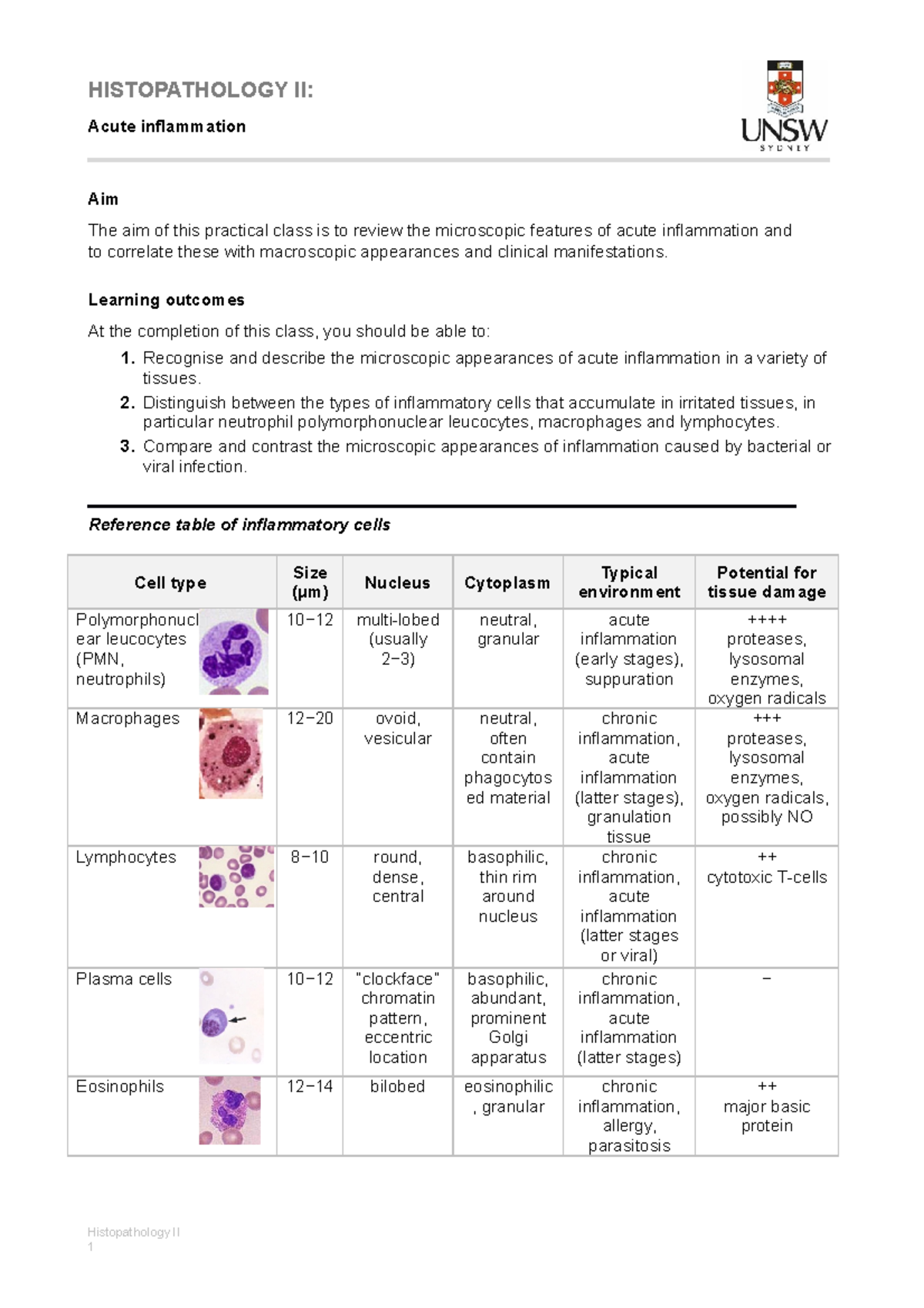 Histopathology 2 - The aim of this practical class is to introduce you ...