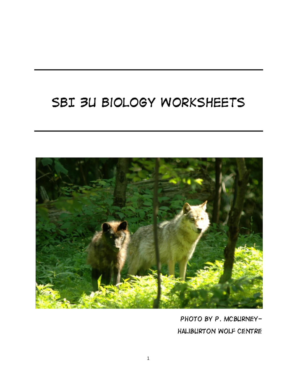 Sbi 3u biology worksheets - SBI 3U Biology Worksheets Photo by P ...