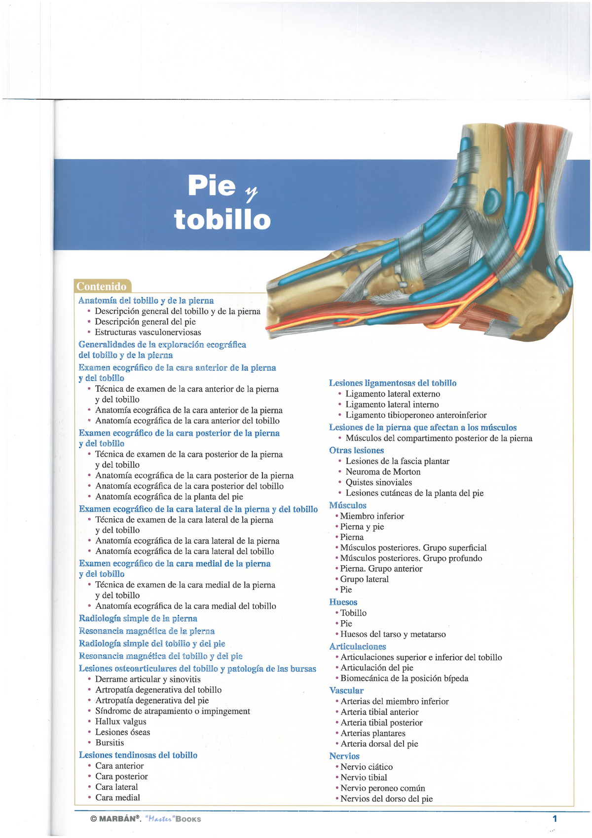 Libro Anatomia del Pie - Pie y tobillo Contenido Anatomía del tobillo y ...