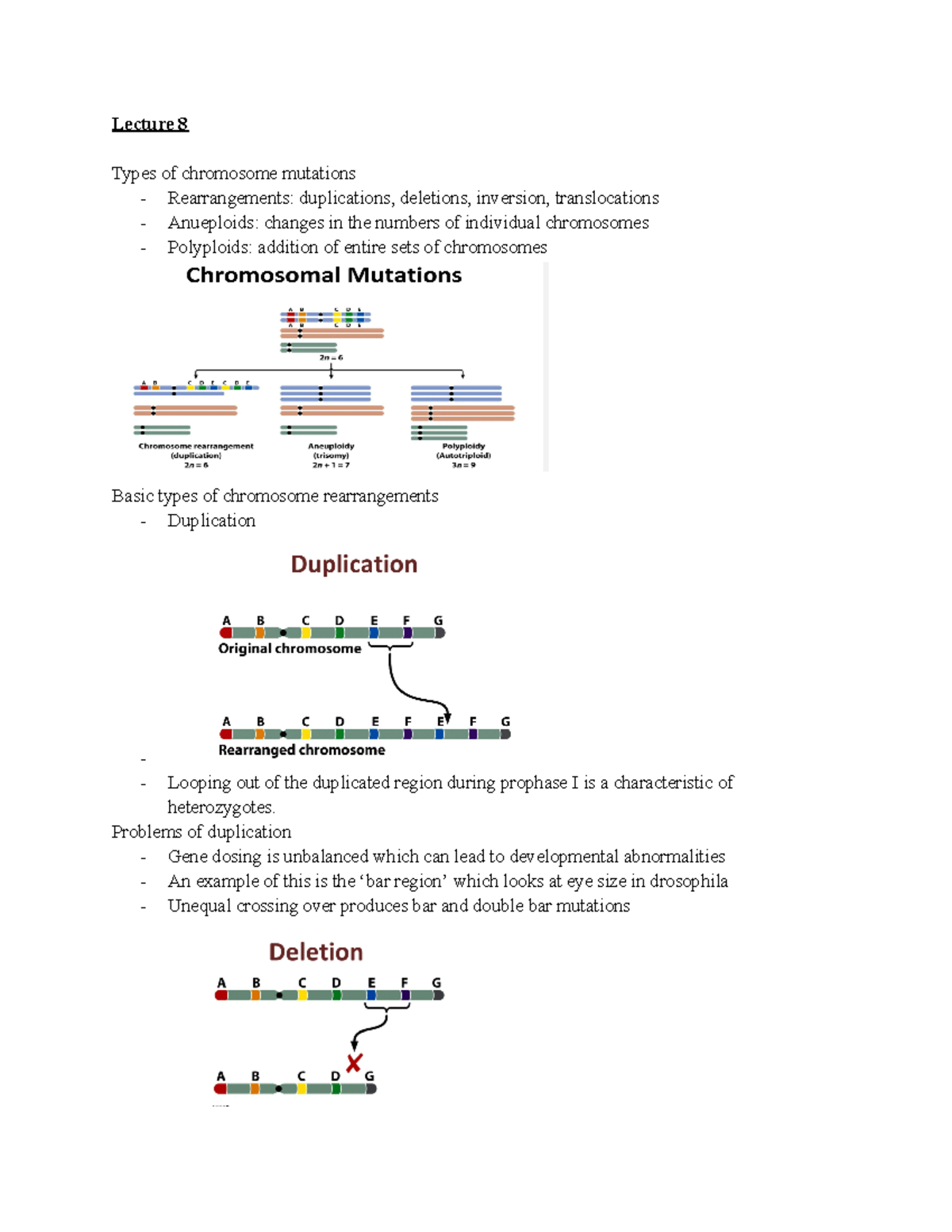 Genetics Test 2 Notes - Lecture 8 Types of chromosome mutations ...