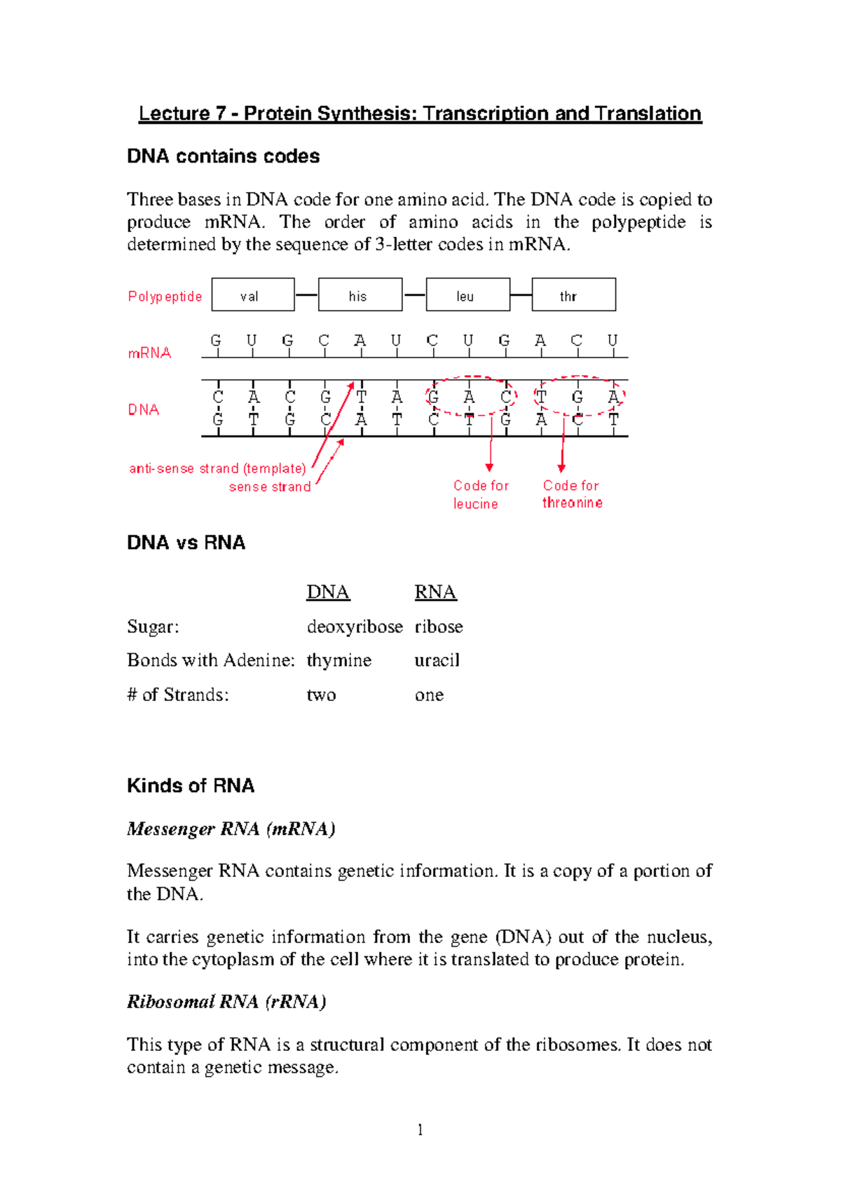 3747 - Good - Lecture 7 - Protein Synthesis: Transcription and ...