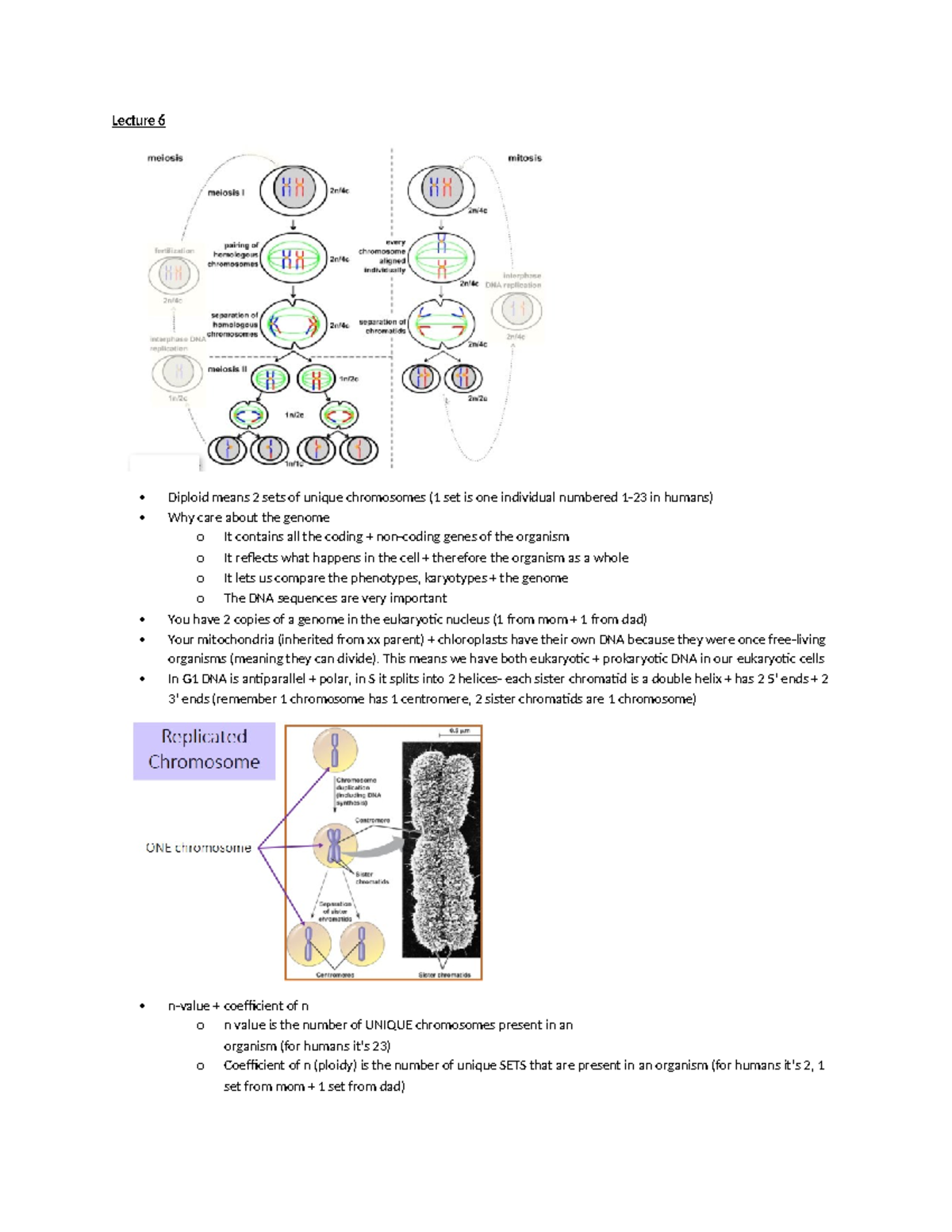 Biology Cycle 3 - Lecture 6 Diploid means 2 sets of unique chromosomes ...