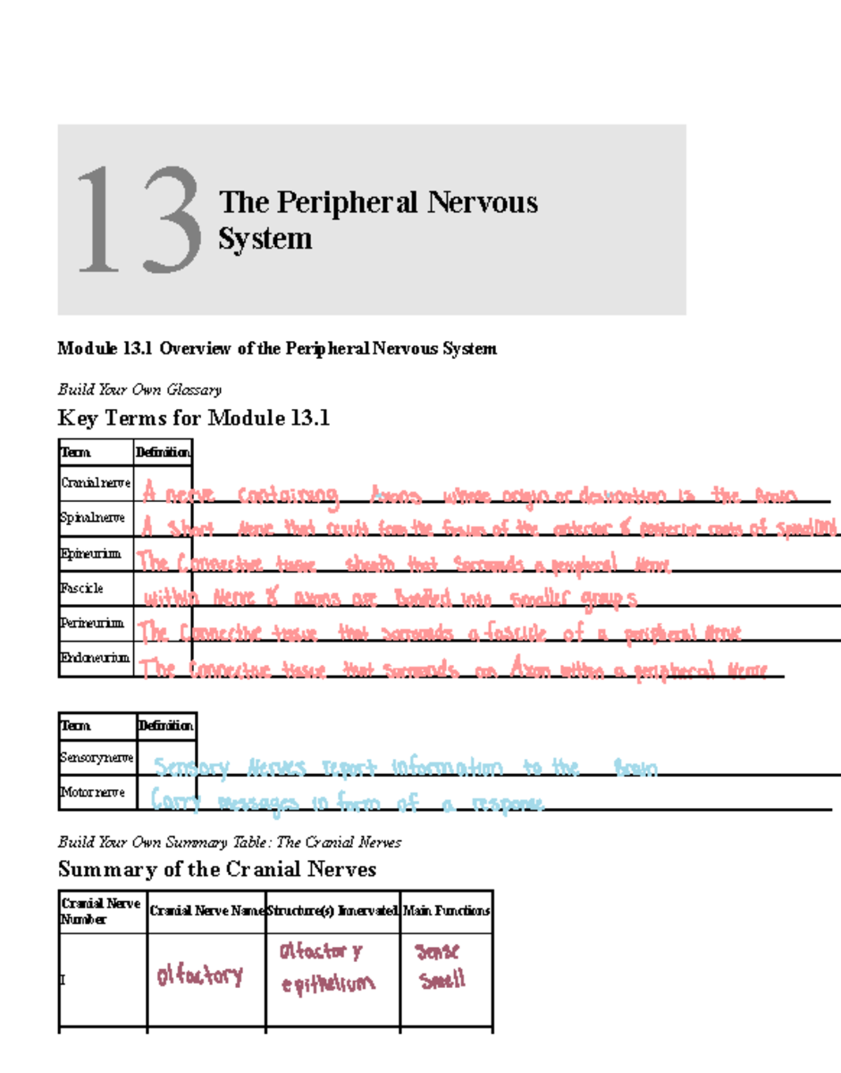Chapter 13 Cranial Nerves - 13 The Peripheral Nervous System Module 13 ...