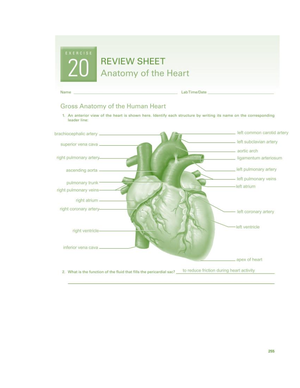 Exercise 27 Anatomy of the Reproductive System - USM - Studocu