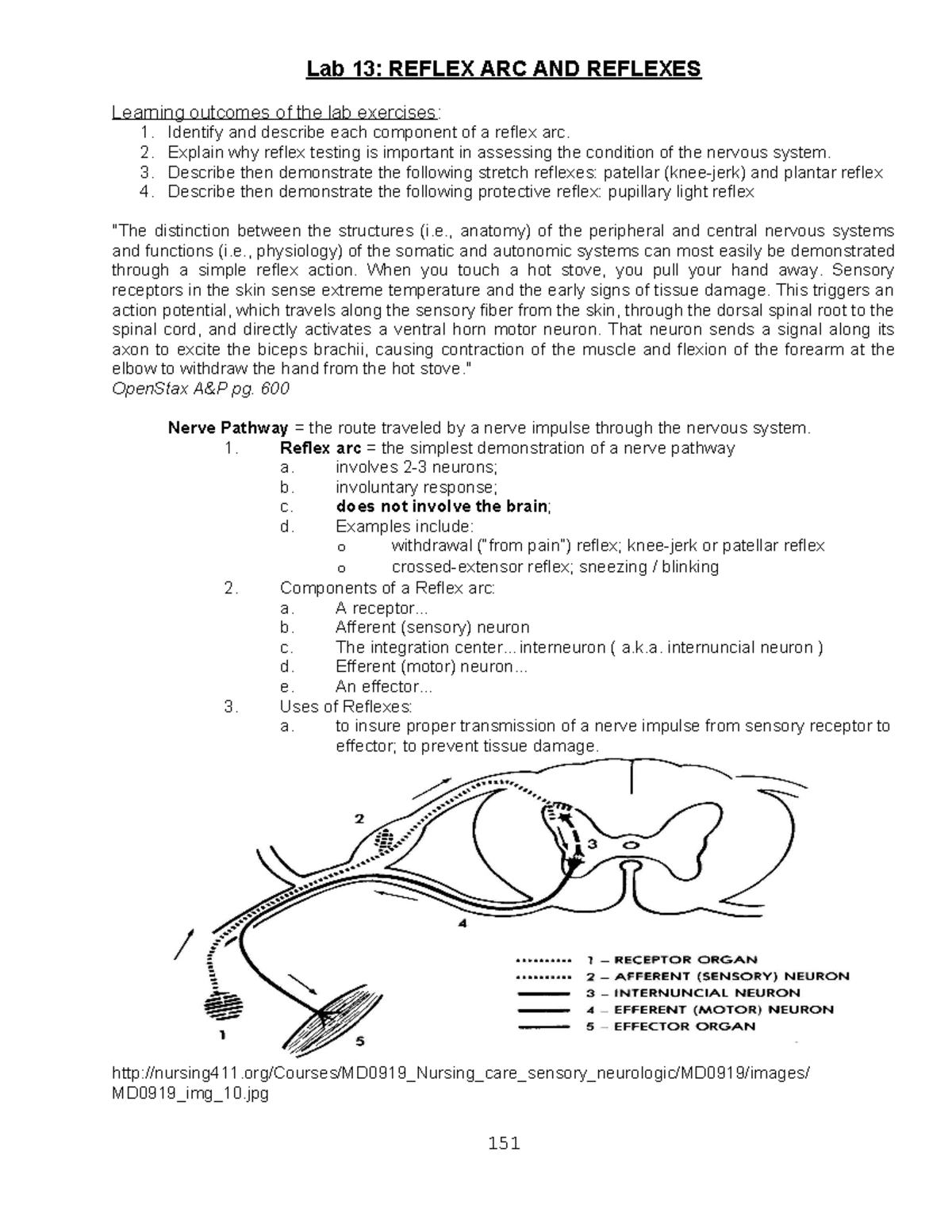 AP1 Lab13 Reflex Arc and Reflexes FA2021 - Lab 13: REFLEX ARC AND ...