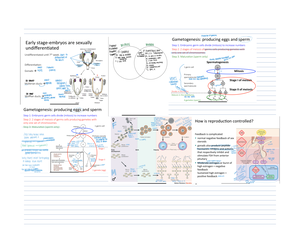 Chapter 22 - Anatomy and Physiology 2. Metabolism and Energy Balance ...