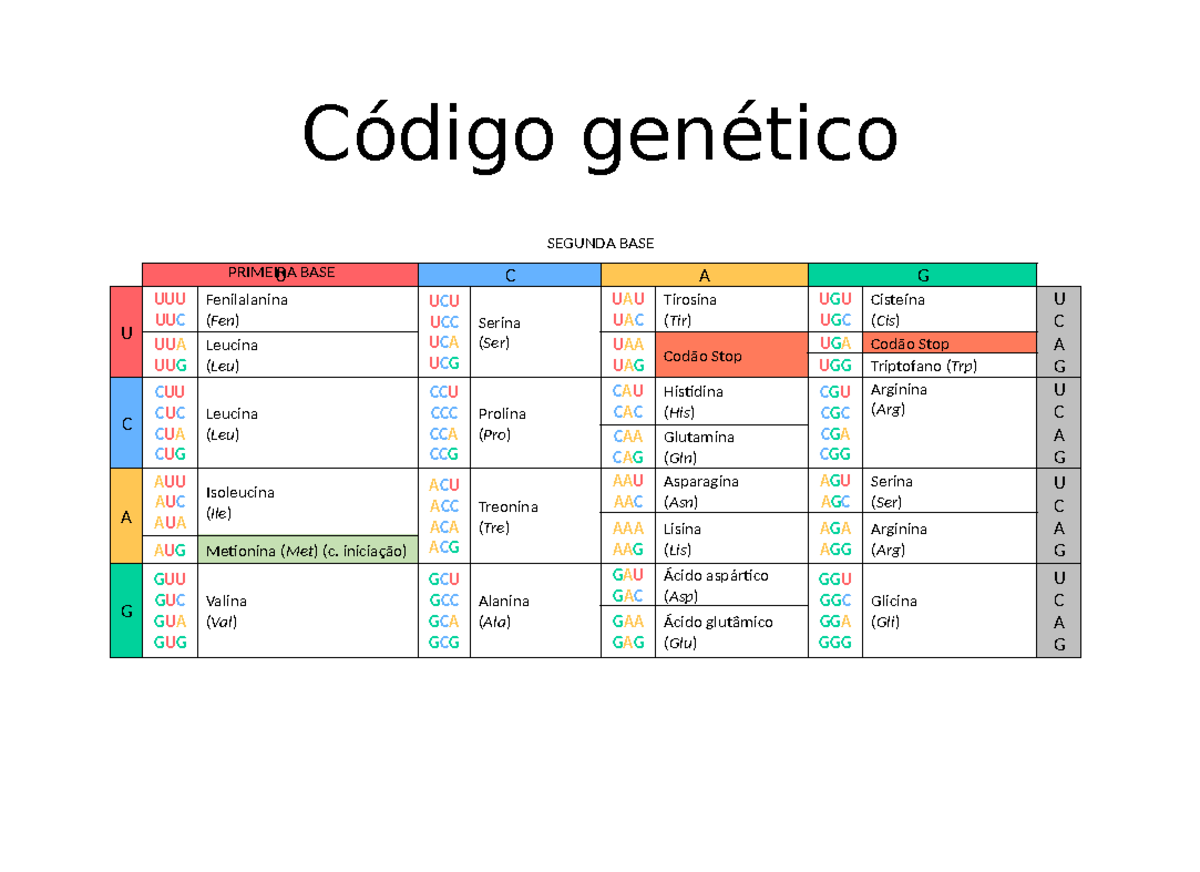 Código genético - tabela - U C A G U UUU UUC Fenilalanina (Fen) UCU UCC ...