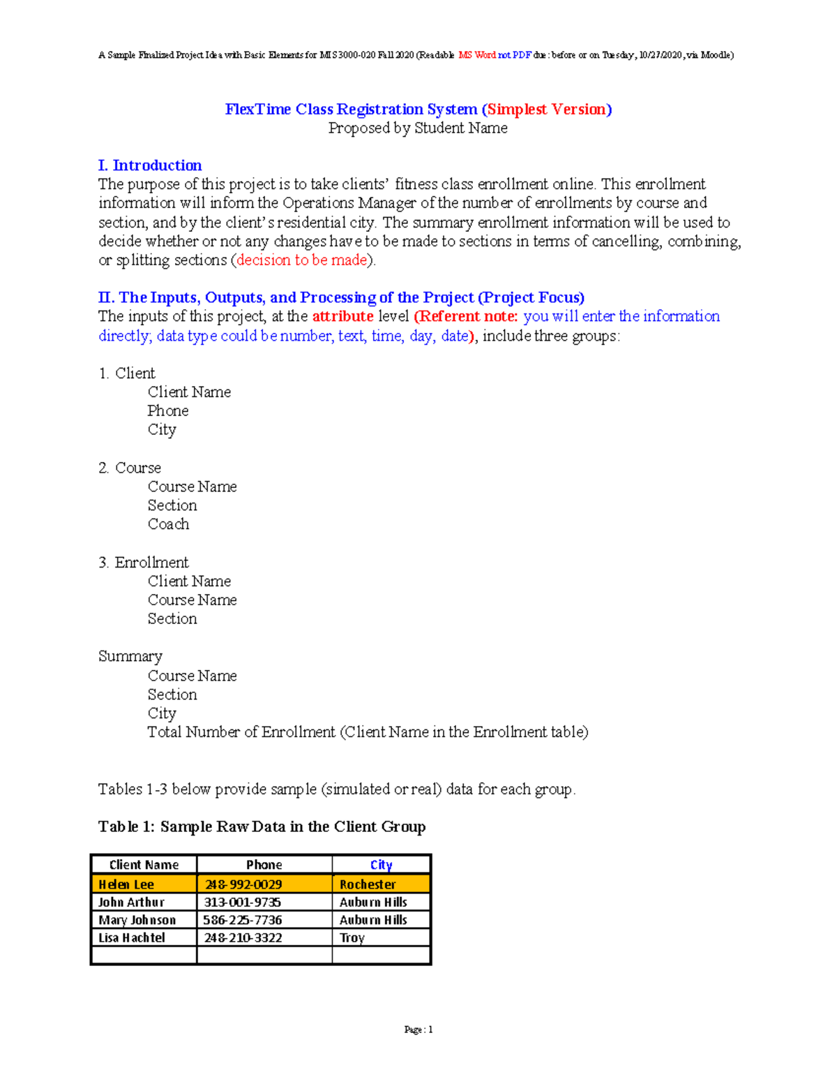 MIS 3000-Sample Finalized Project Idea - A Sample Finalized Project ...