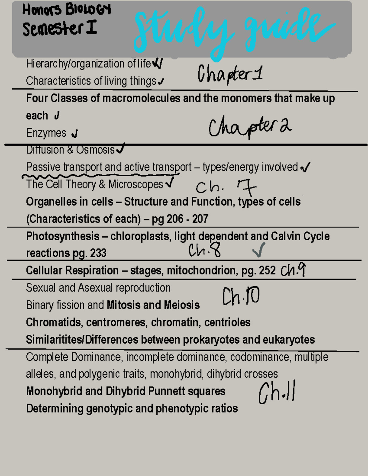 Bionotes - bio notes - HonBio I - Semester Exam 2022 STUDYGUIDE ² Name ...