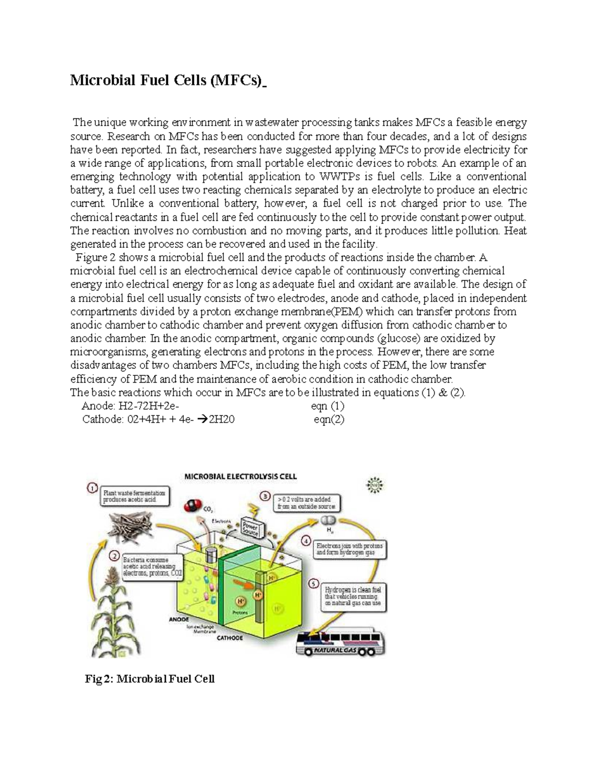 Microbial Fuel Cells 3 - explanation - Microbial Fuel Cells (MFCs) The ...