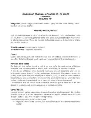 Resumen Malformaciones Congenitas AP - EmbriologÌa Malformaciones ...