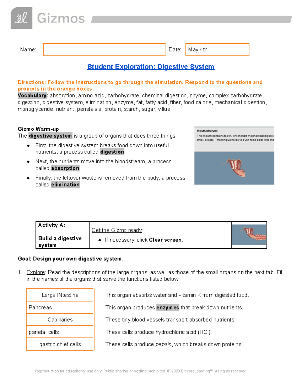 Copy Of BLB 5 Digestive System Gizmo Name Date May 4th Student