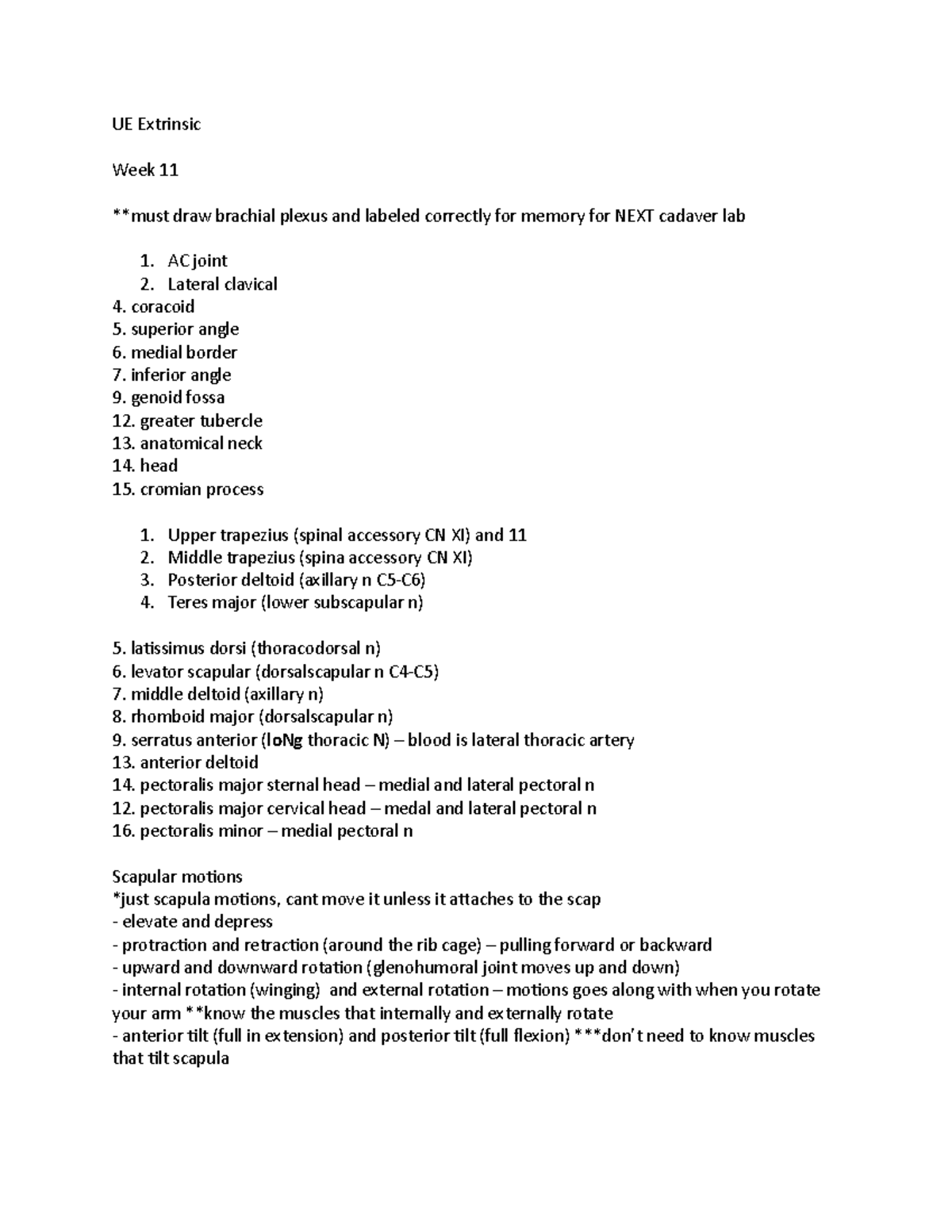Week 11 Lecture Notes Ue Extrinsic Week 11 Must Draw Brachial Plexus And Labeled Correctly