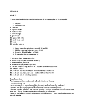Handout-Anterior Abd Wall- Ing Canal and Anterior and Medial Thigh-CW ...
