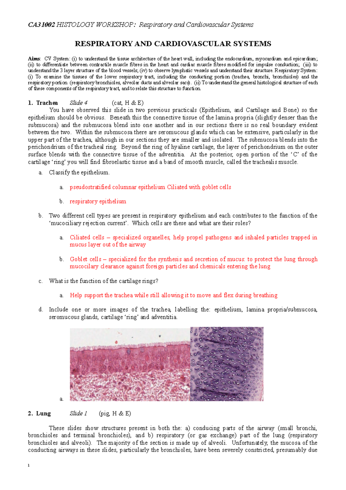 Practical 5 - Respiratory and Cardiovascular Systems - CA31002 ...