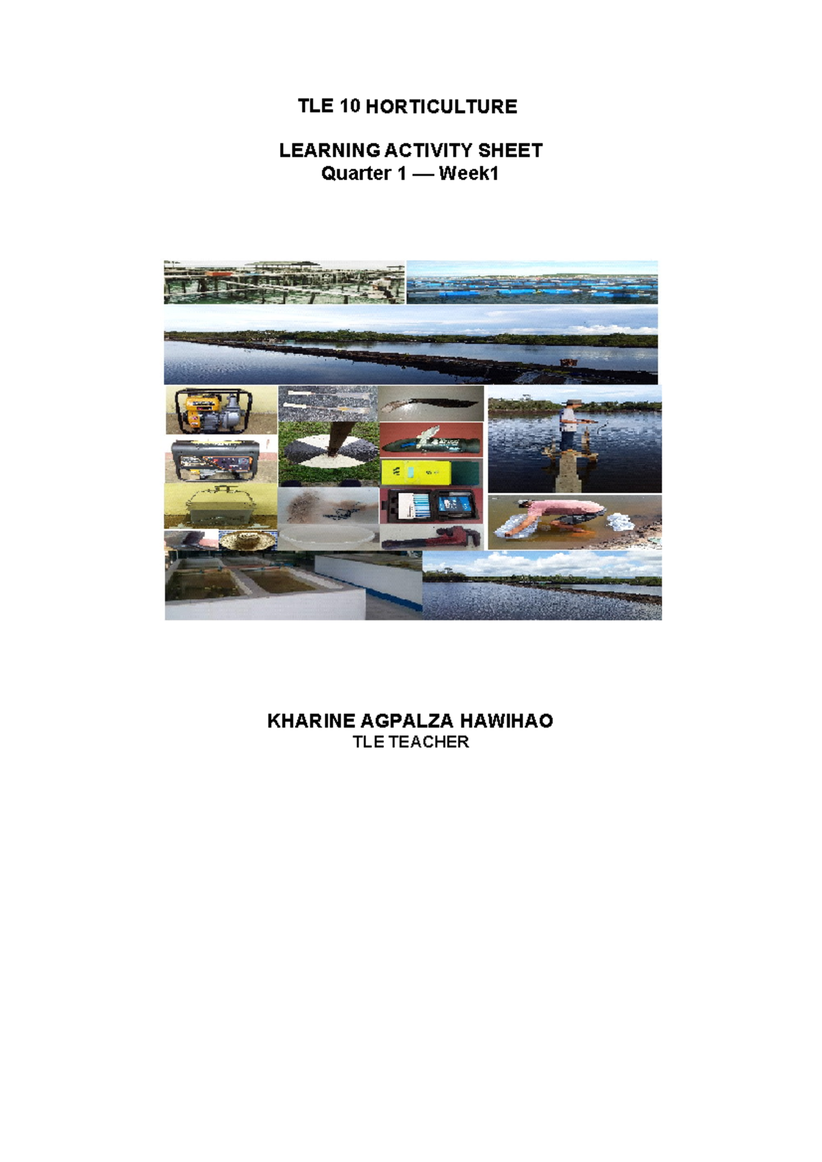 W1 - 3 NOV. 22- DEC 10 - learning activity sheet - TLE 10 HORTICULTURE ...