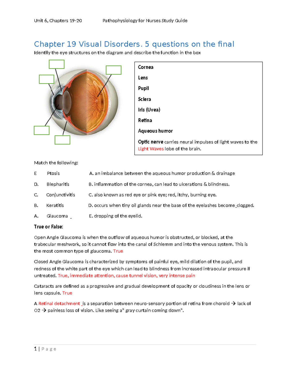 Study Guide Chapter 19 & 20 - Chapter 19 Visual Disorders. 5 questions ...