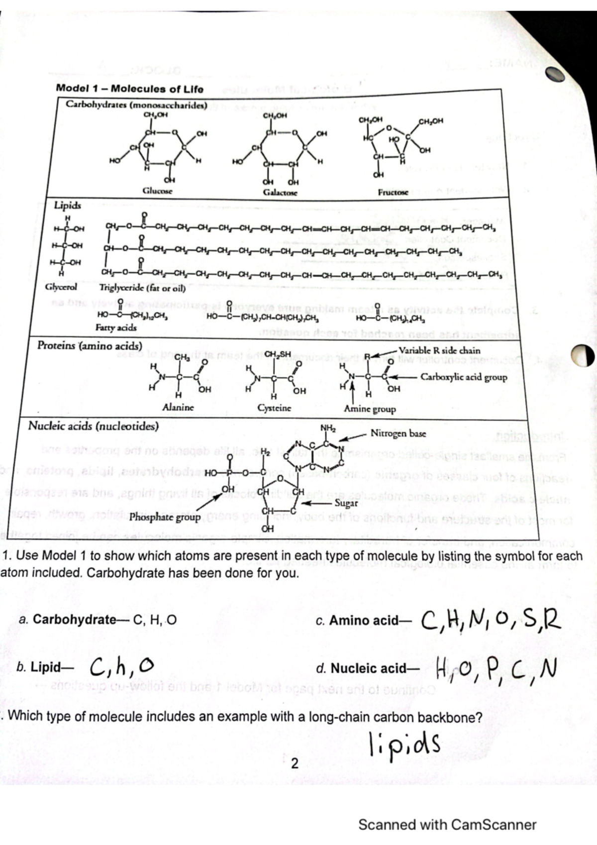 Molecules of Life - BIO111 - Studocu
