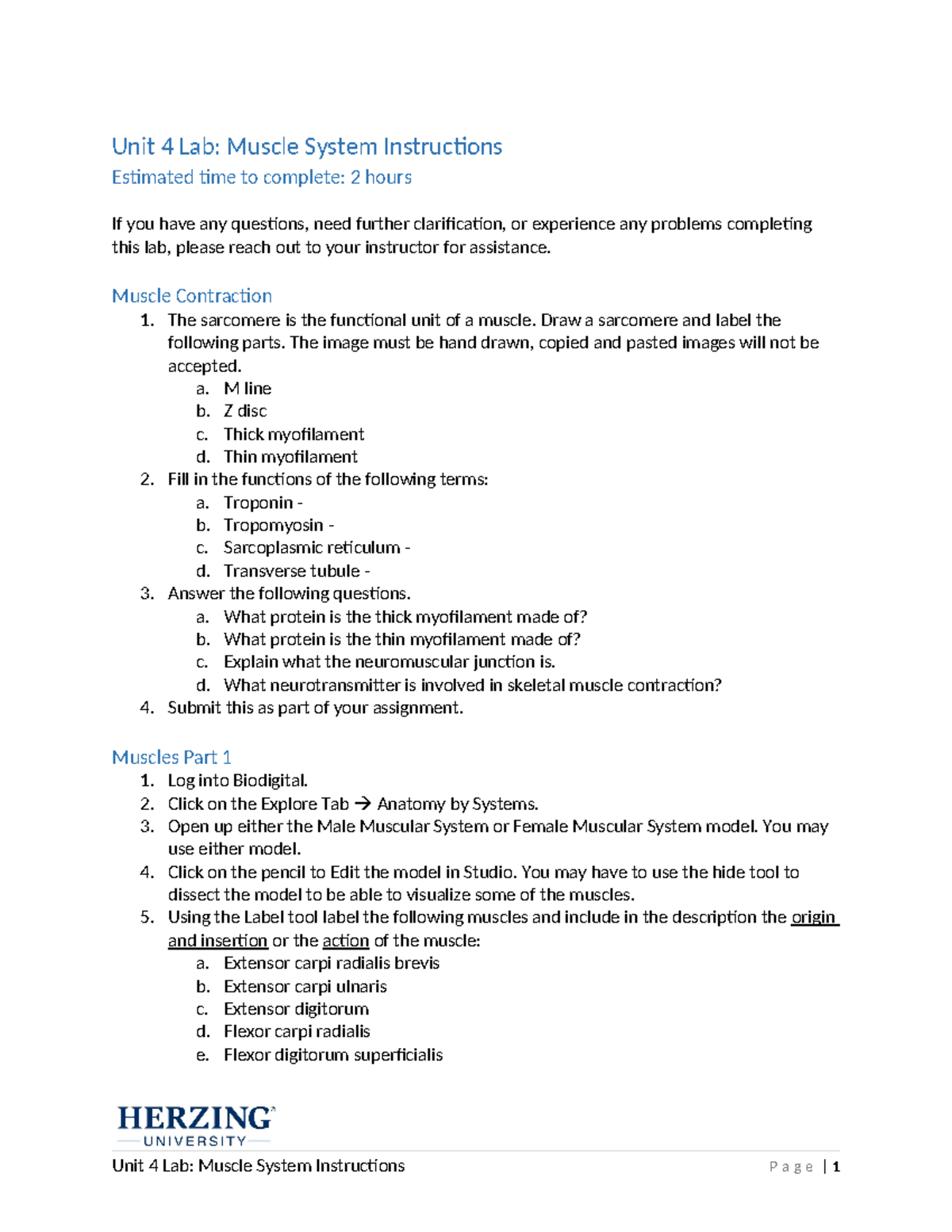 Unit 4 Lab Instructions - Unit 4 Lab: Muscle System Instructions ...