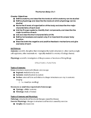 Anatomy final exam review - Composition of blood Erythrocytes Buffy ...