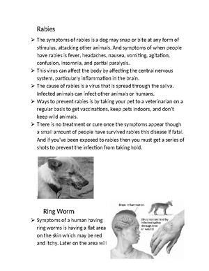 Cat physical exam - Cats - Cat physical exam First thing you want to ...