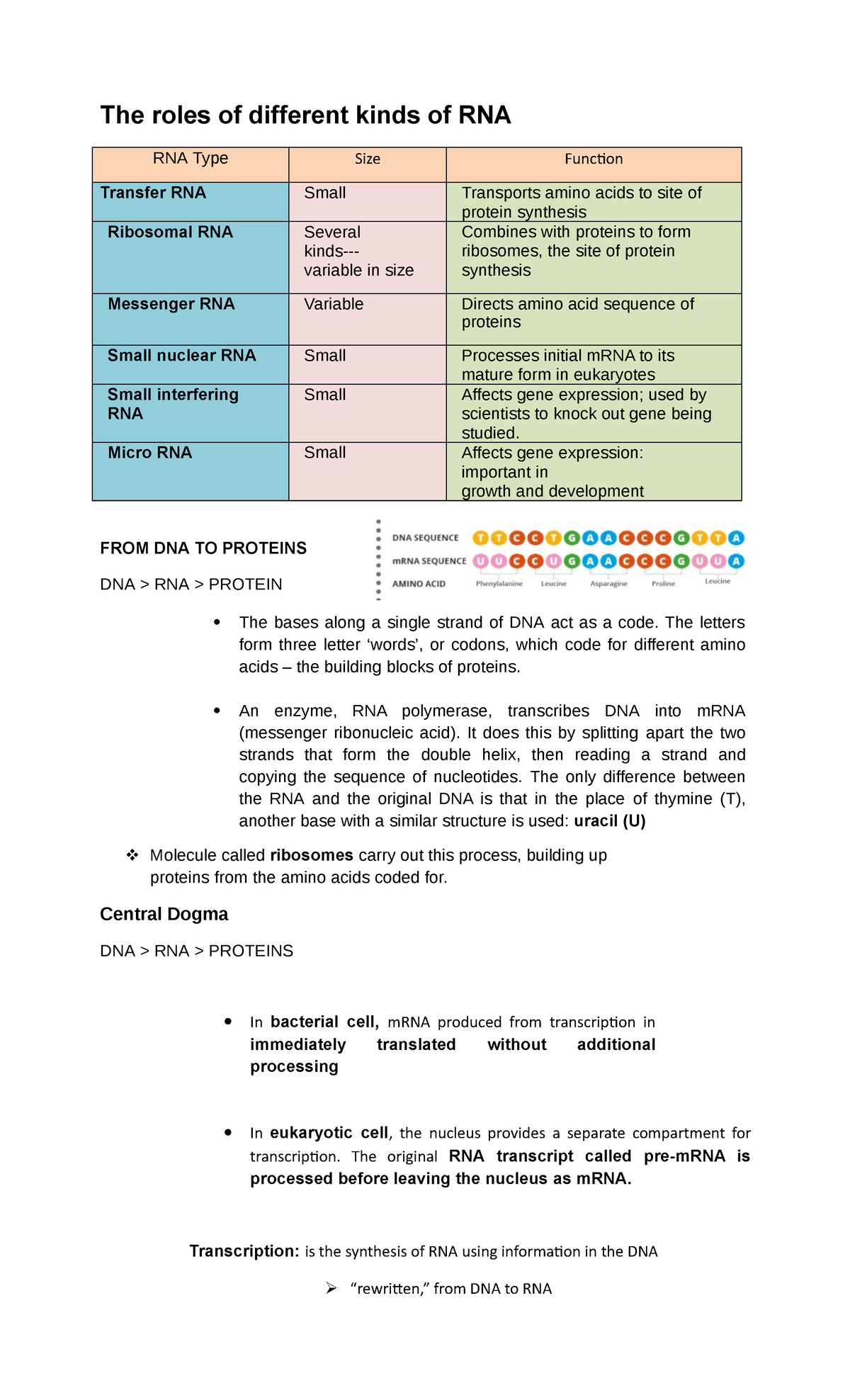 MLS Notes 3 - This is a lecture note about RNA and the different roles ...