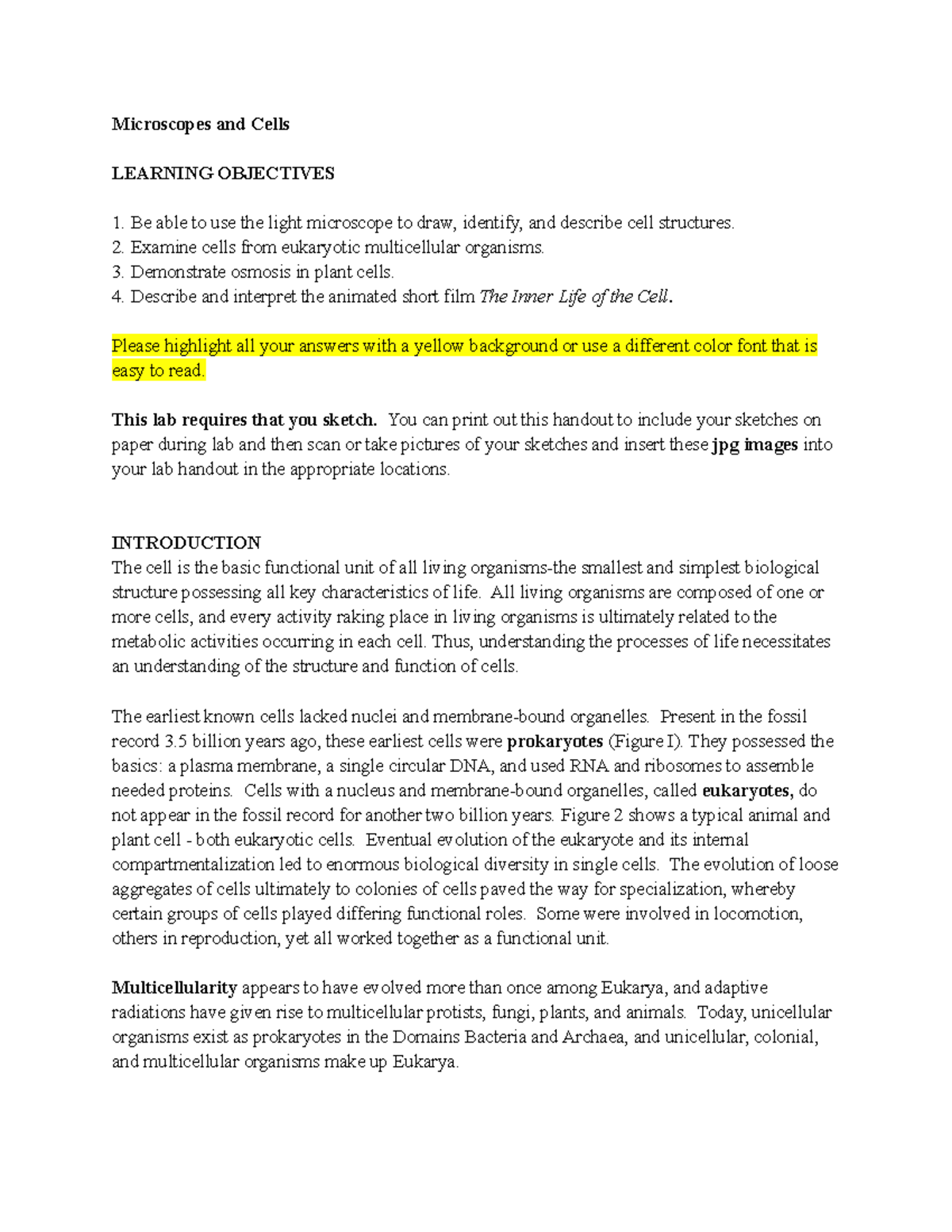 Microscopes and cells - Microscopes and Cells LEARNING OBJECTIVES Be ...