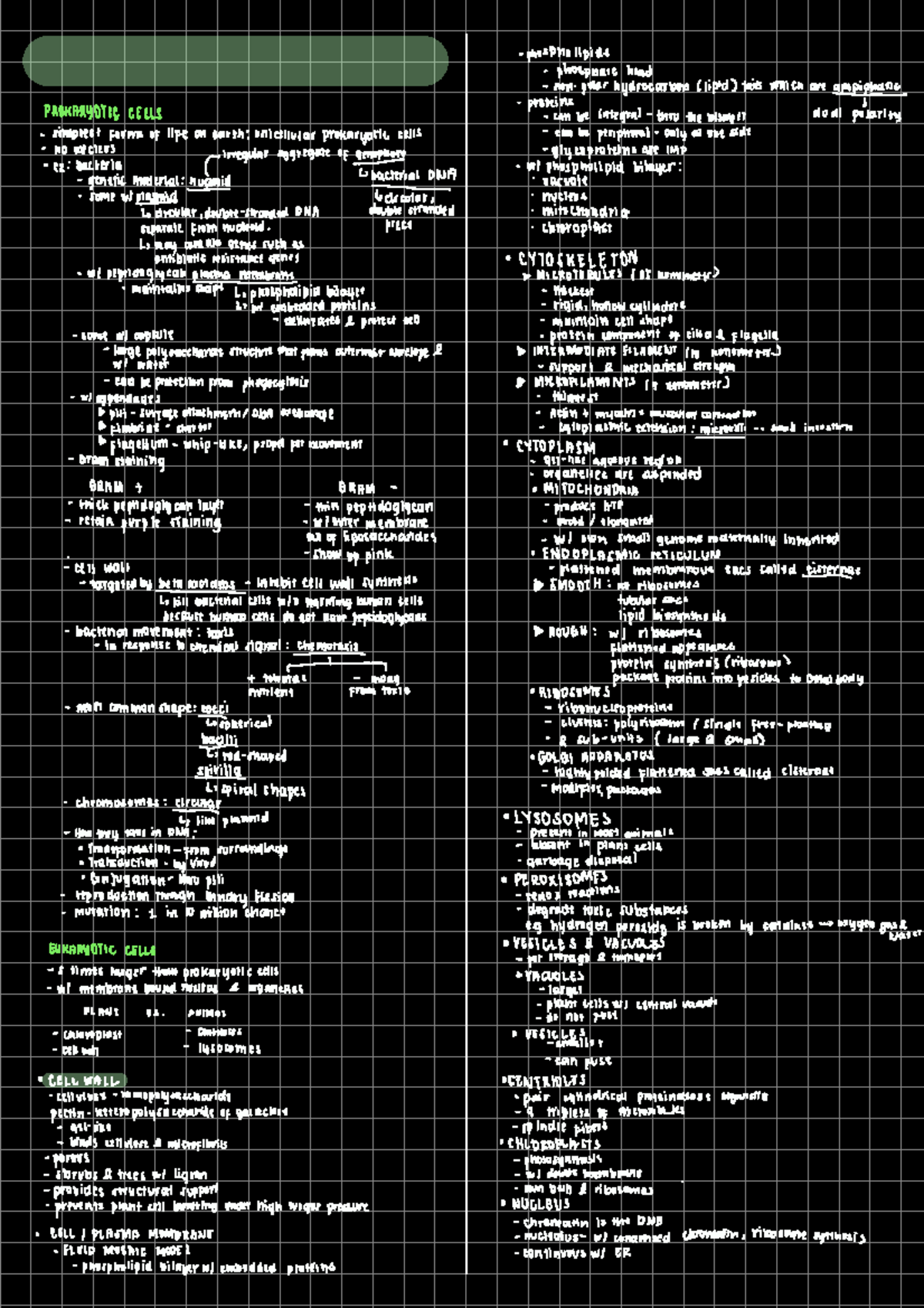 Note-11 - Notes for biochemistry lecture. - Biochemistry Lecture - Studocu