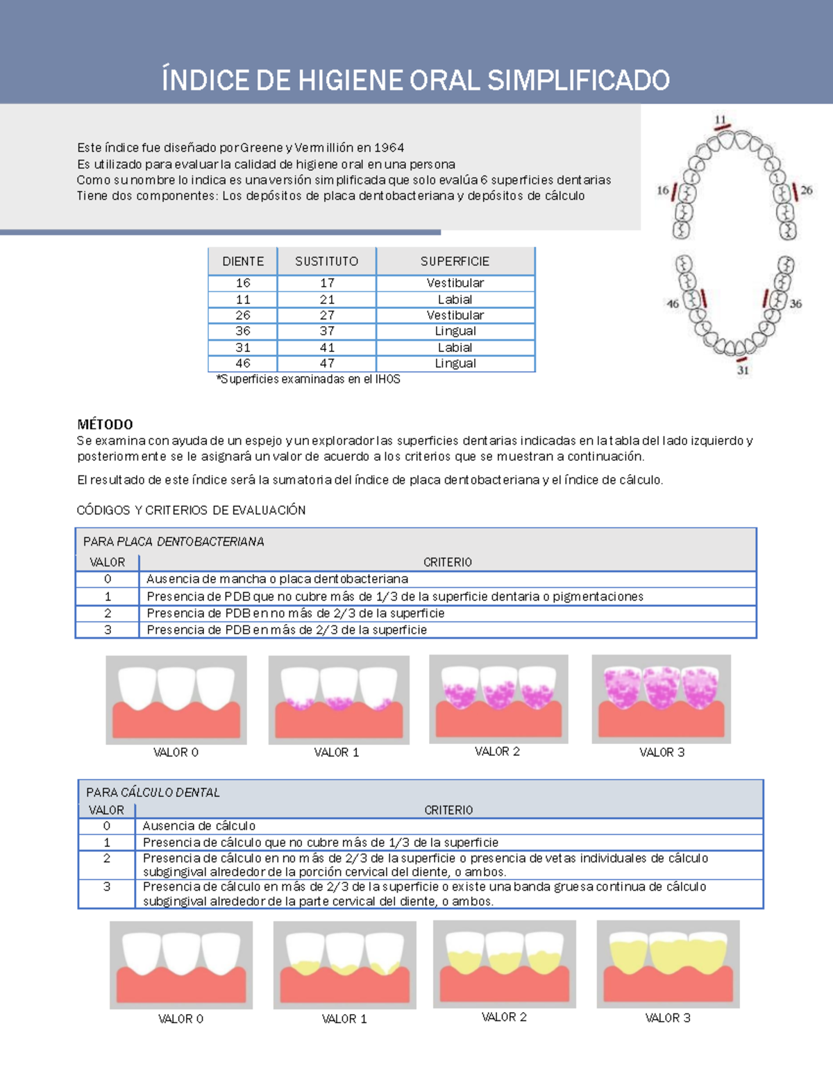 Plantilla DE IHO-S - ÍNDICE DE HIGIENE ORAL SIMPLIFICADO *Superficies ...