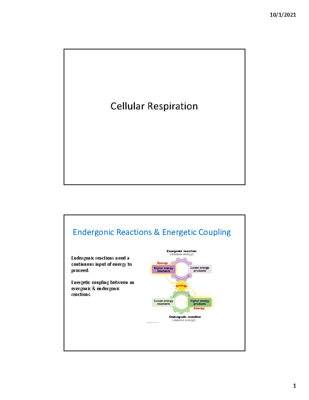 Cellular Respiration & PSN - Cellular Respiration Endergonic Reactions ...