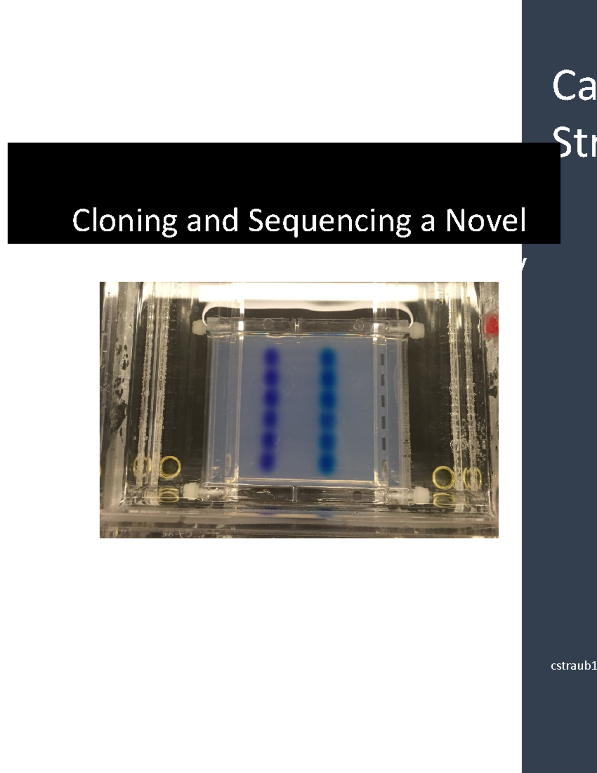Lab 4 post-lab - Completed lab report for Lab 4 (assigned by Prof ...