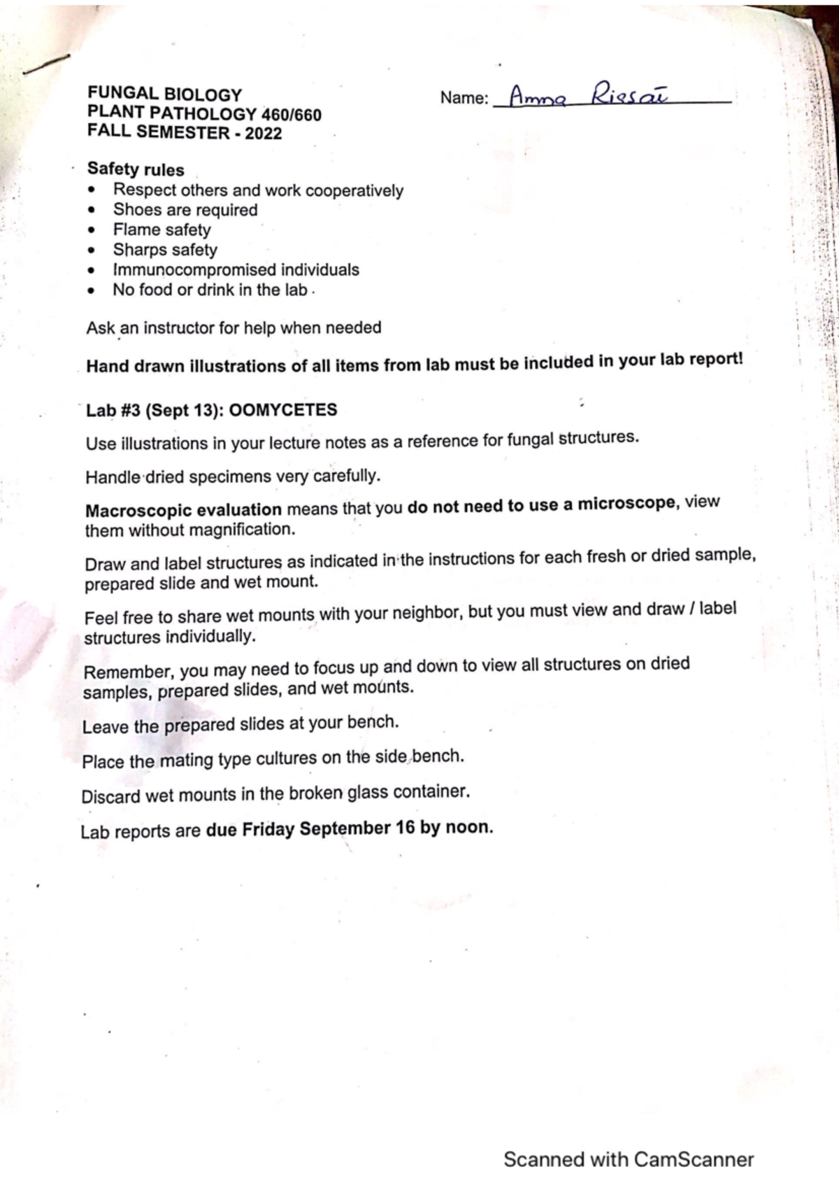 Amna-lab 3-fungal biology - BIOC 461 - Studocu