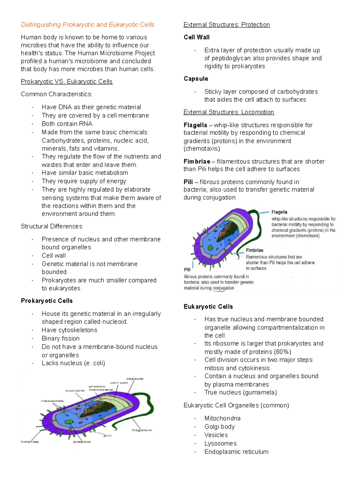 General Biology STEM 11 Mendelian Genetics and Patterns of Heredity ...