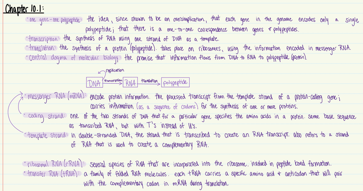 Chapter 10 Book Notes - BIOL14110AAA - Studocu