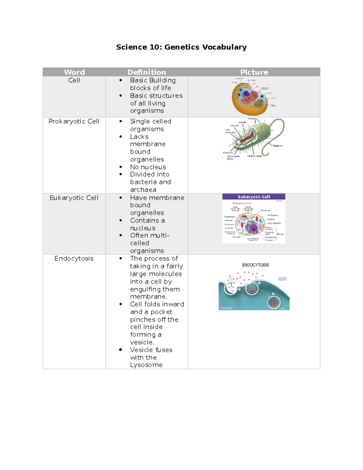 Science Biology Vocab - Science 10: Genetics Vocabulary Word Definition ...