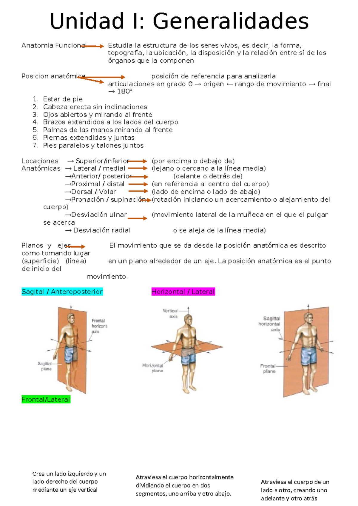 Generalidades Anatomía - Unidad I: Generalidades Anatomia Funcional ...