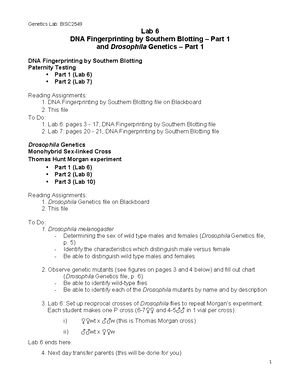 Module 1 Lab Notes from Lecture - Unit 2 What is phlebotomy? Phlebotomy ...
