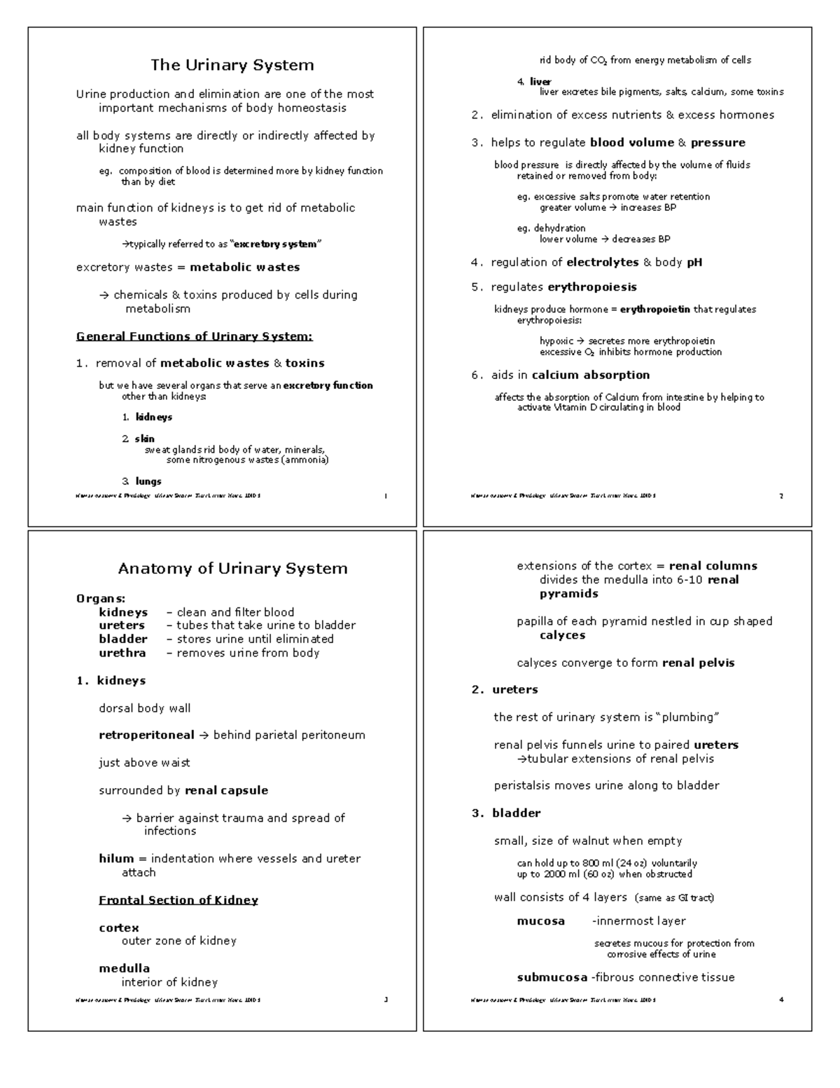 O.Urinary System - Human Anatomy & Physiology: Urinary System; Ziser ...