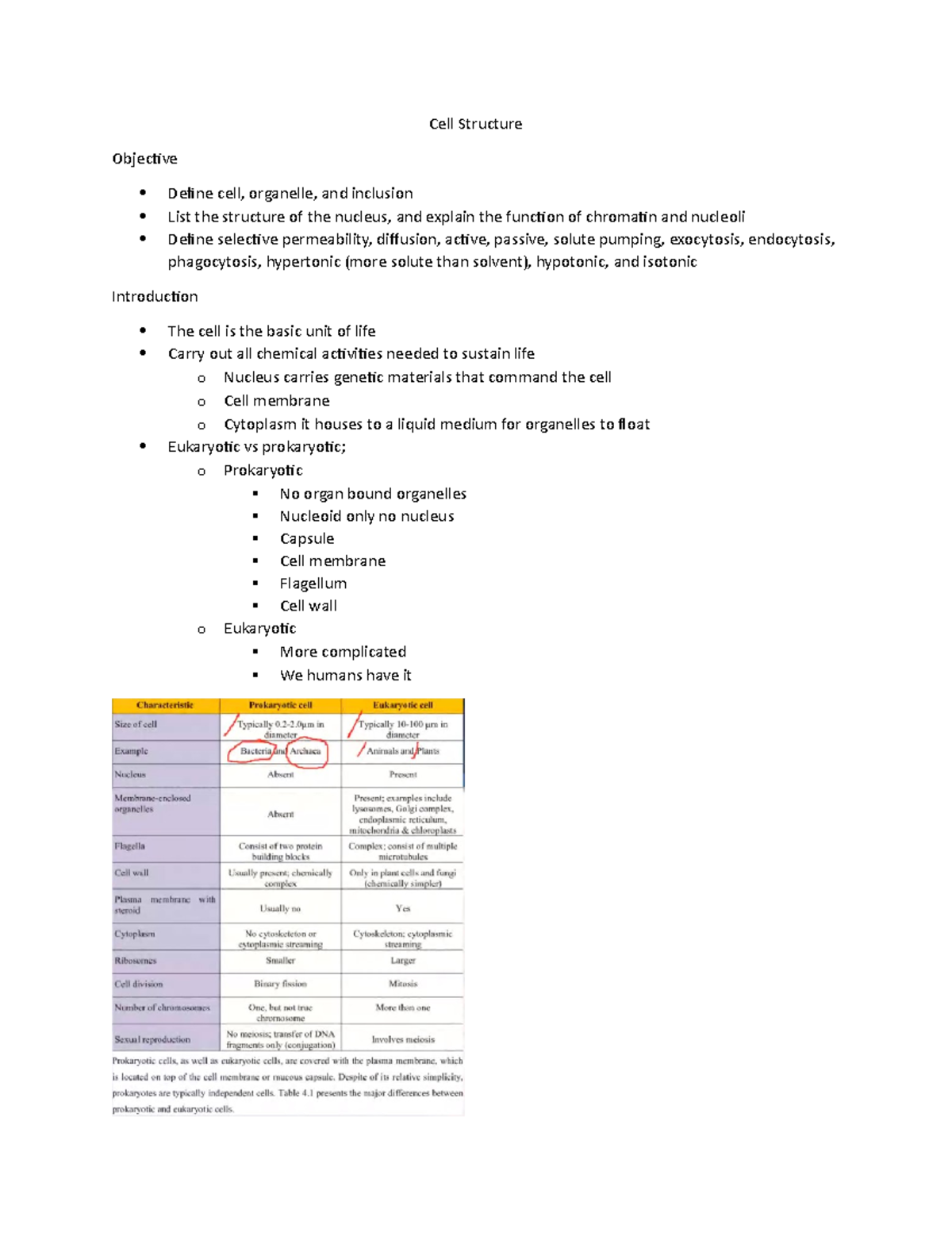 Anatomy AND Physiology 2 - Cell Structure Objective Define cell ...