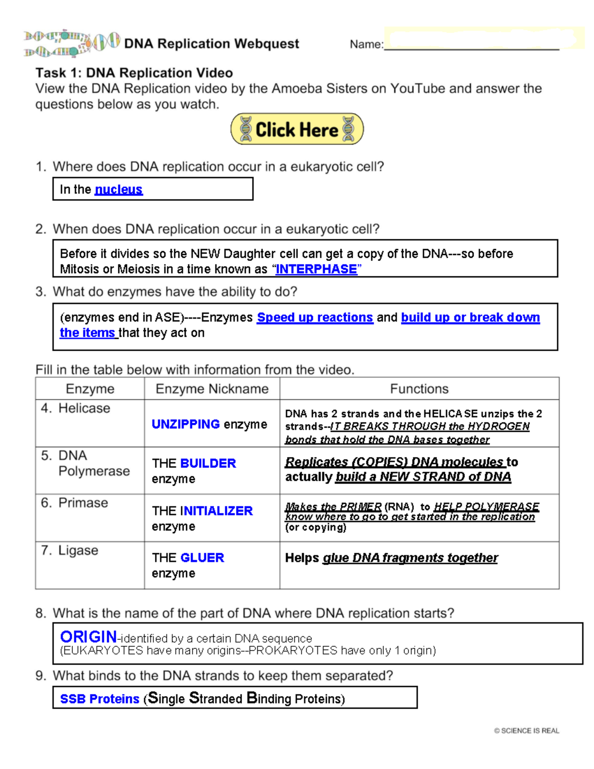 Copy of DNA Replication Webquest - Adam Hedelius 5th HOUR In the nucleus Before it divides so ...