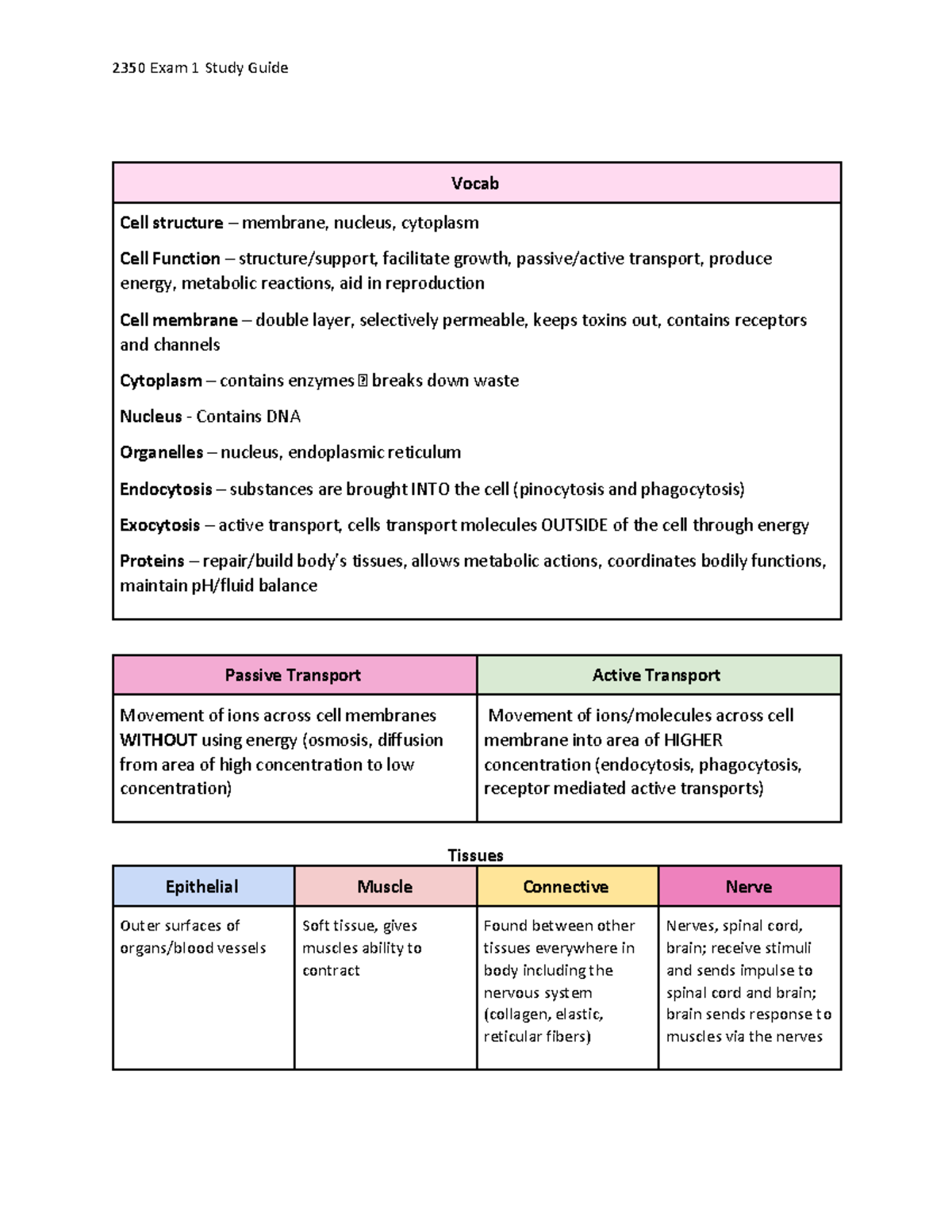 Patho Exam 1 Study Guide - Vocab Cell structure – membrane, nucleus ...
