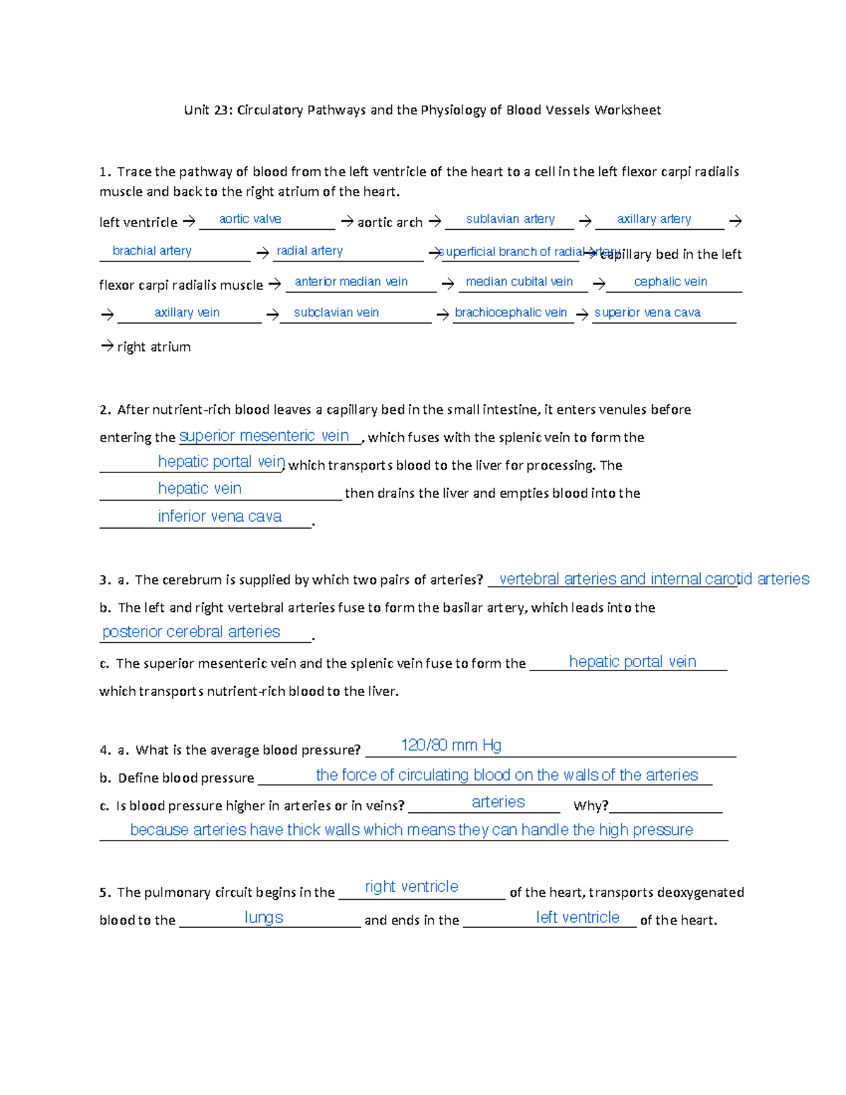 Unit 23 Worksheet Fa22 - Unit 23: Circulatory Pathways and the ...