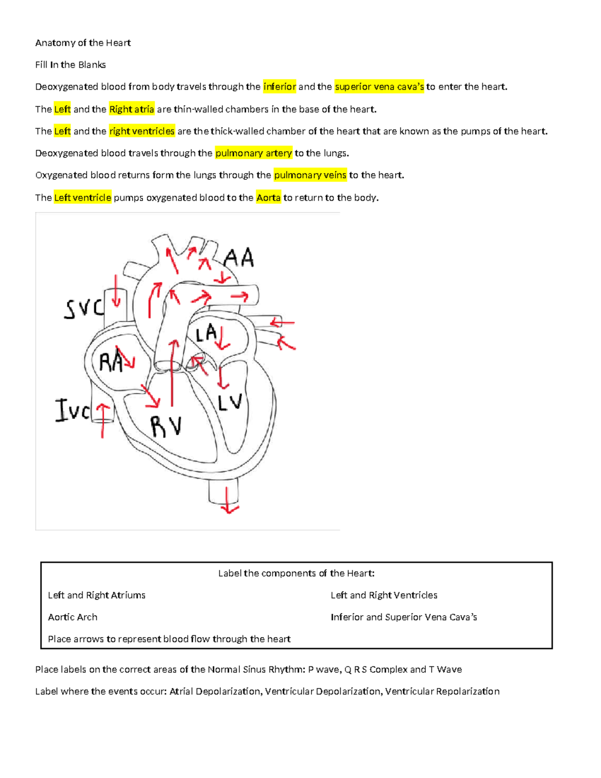 Anatomy of the Heart module - Anatomy of the Heart Fill In the Blanks ...