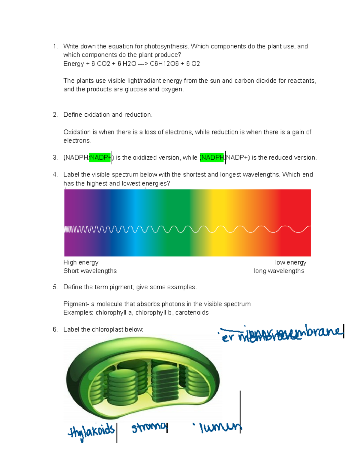 Equation For Photosynthesis Reactants And Products