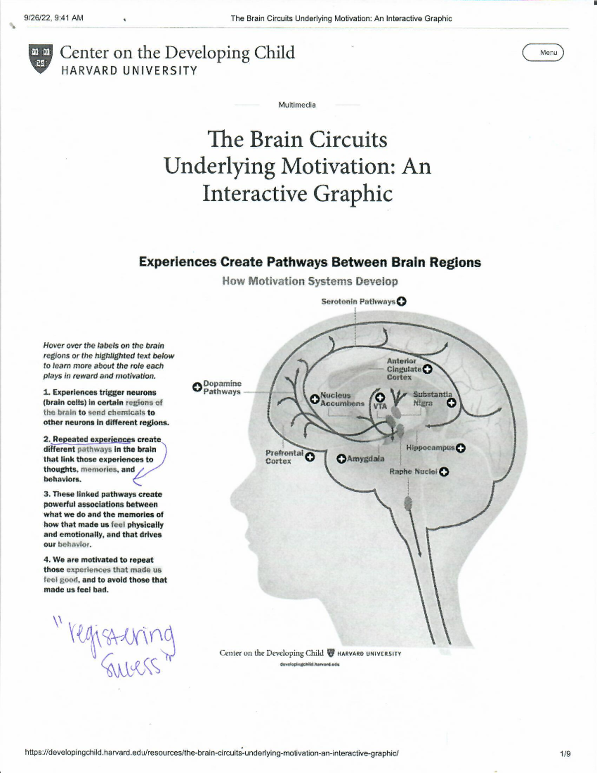 Motivation mod 5 - What i call " how the brain registers success ...