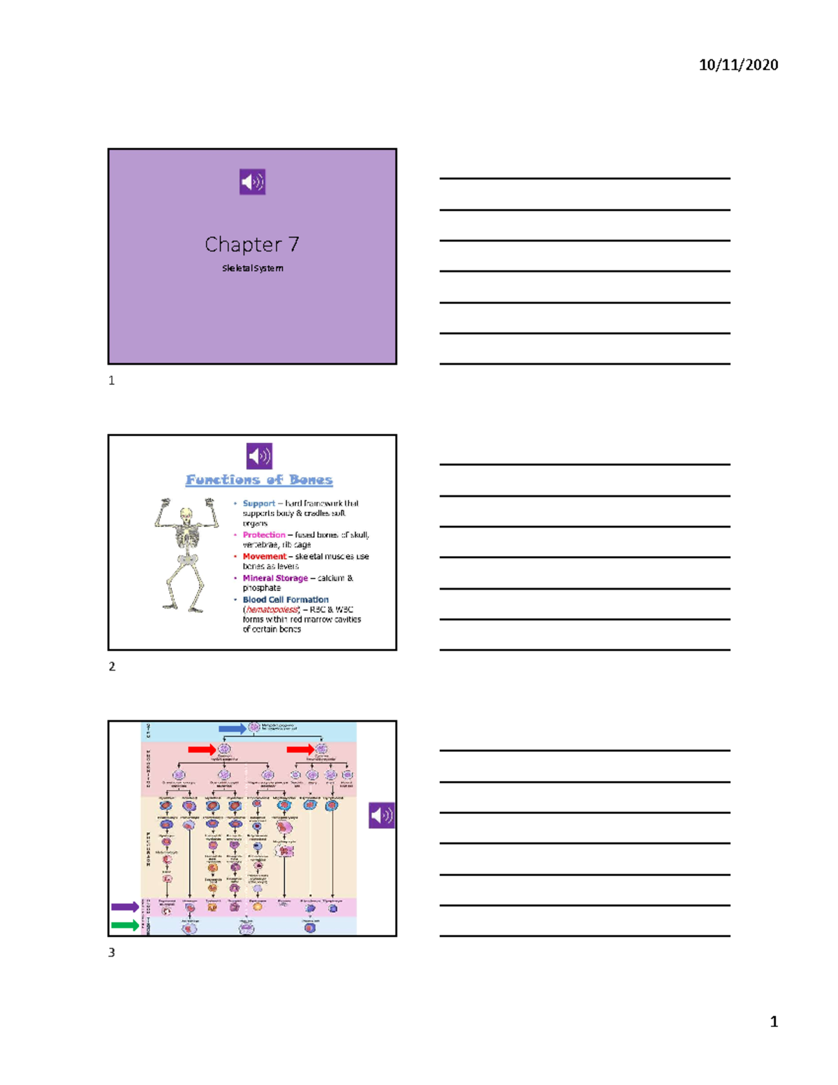 Skeletal System DR B - Warning: TT: undefined function: 32 Skeletal System Chapter Bone Cell ...