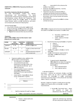 SAS 3 BIO 056 Systematics pdf Phylum Porifera - Student Activity Sheet ...