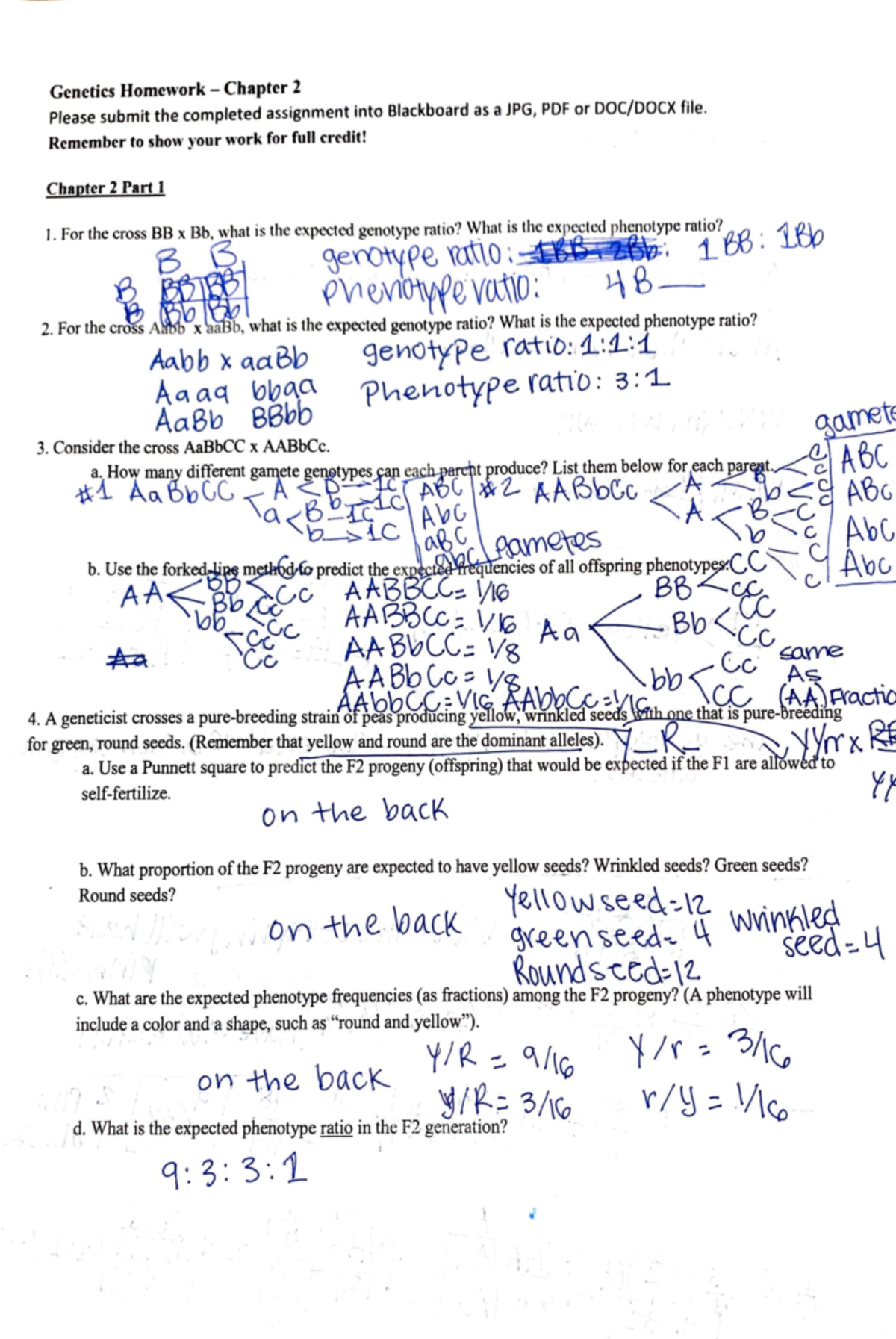 Chapter 2 Biol 310 HW - Genetics Homework - Chapter 2 Please submit the ...