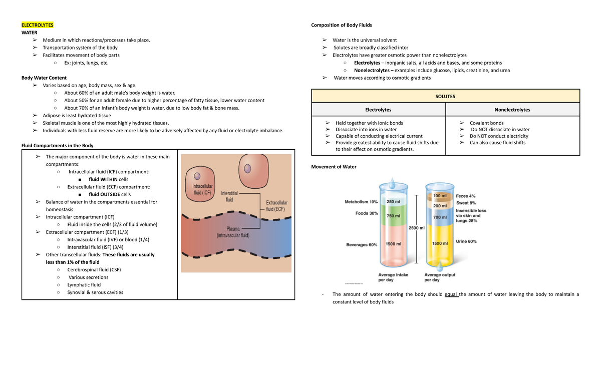 Electrolytes - Summary and Reference range - ELECTROLYTES WATER Medium ...