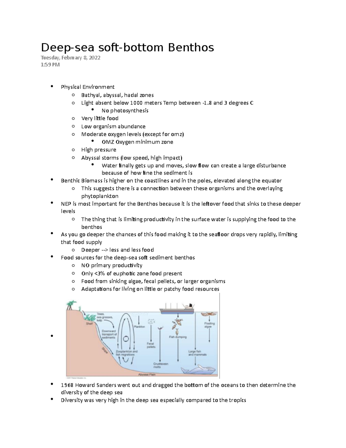 Deep-sea soft-bottom Benthos - Deep-sea soft-bottom Benthos Tuesday ...